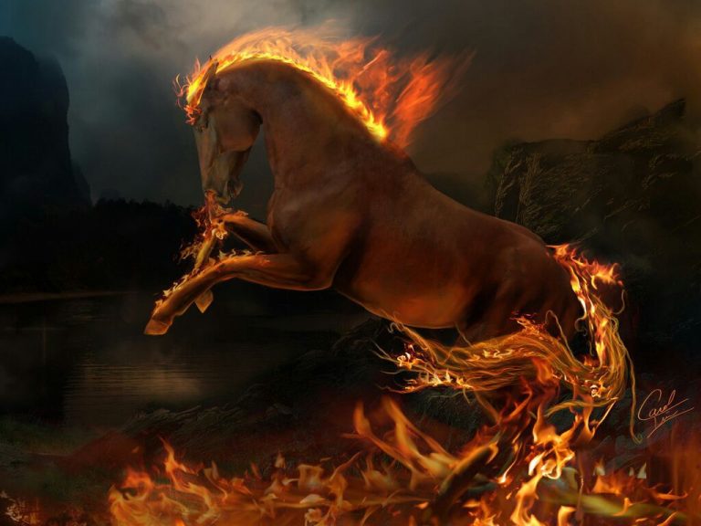 El caballo como símbolo - Gustavo Mirabal - Mundo Ecuestre