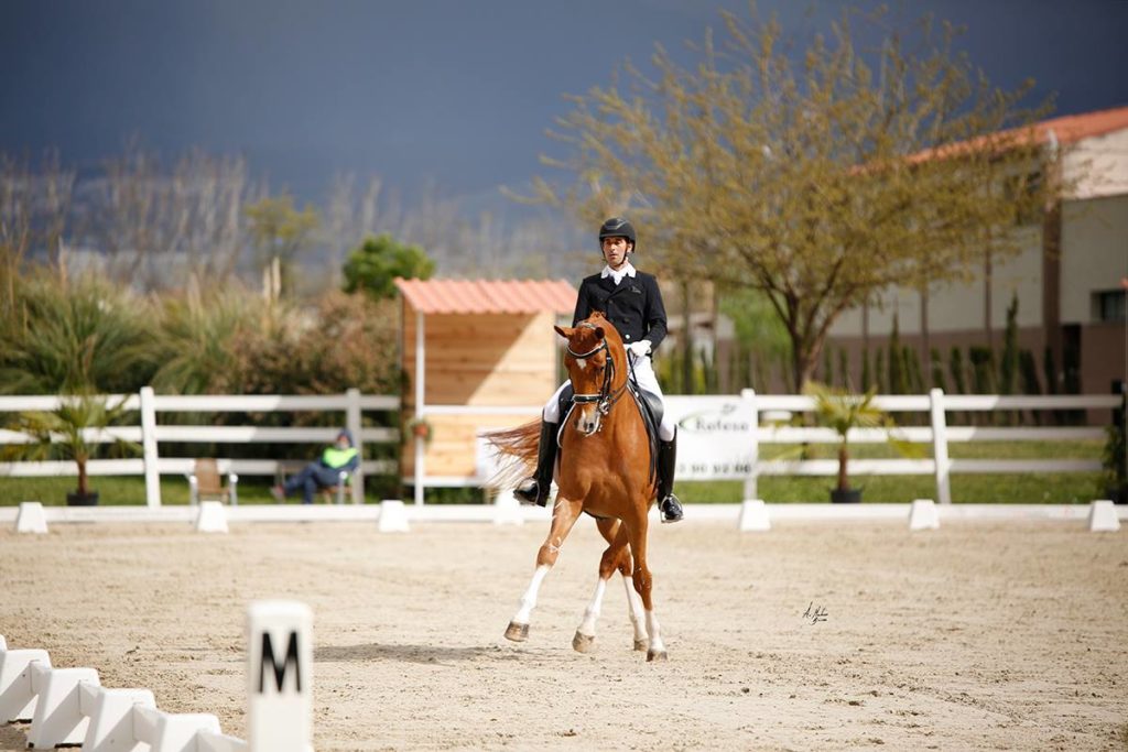 Jinetes españoles que apuestan por la doma | Gustavo Mirabal