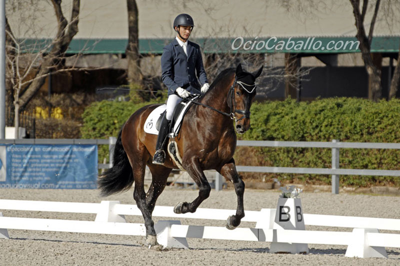 Jinetes españoles que apuestan por la doma | Gustavo Mirabal