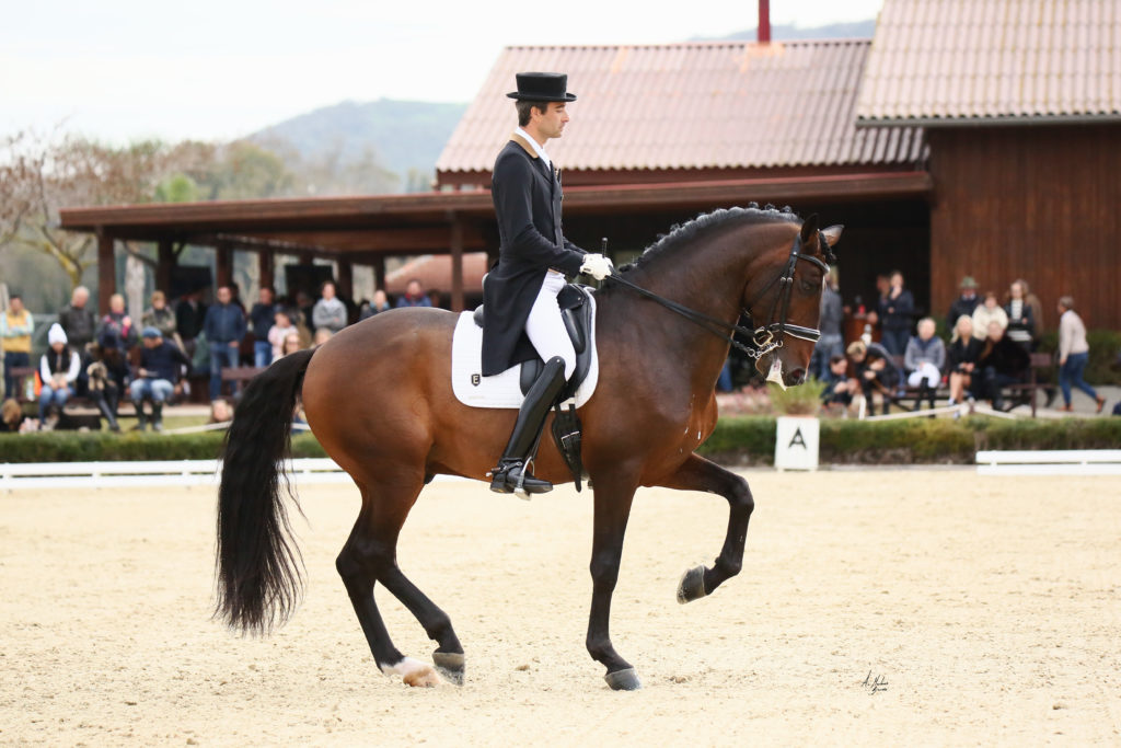 Jinetes españoles que apuestan por la doma | Gustavo Mirabal