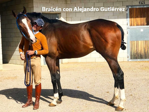 Jinetes españoles que apuestan por la doma | Gustavo Mirabal